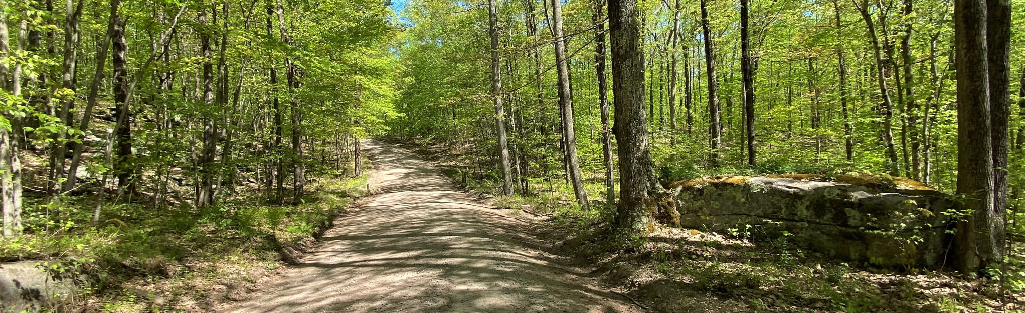 Meshomasic Beacon Loop | Map, Guide - Connecticut | AllTrails