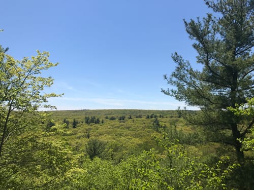 Best Hikes and Trails in Snake Den State Park | AllTrails