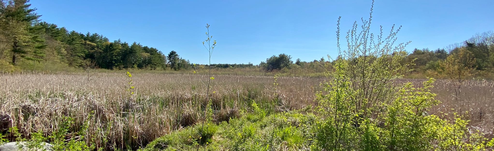 Bull Brook, Bay Circuit, Willowdale, and Displacement Trail Loop: 177 ...