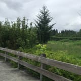 Perrigo Park Loop Path, Washington - 30 Reviews, Map | AllTrails