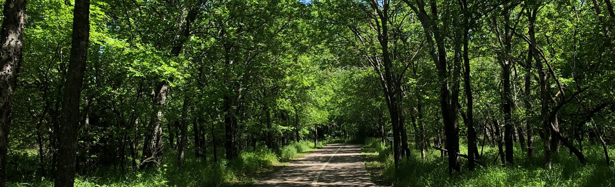 Fish Creek Linear Park Trail: 458 Reviews, Map - Texas | AllTrails