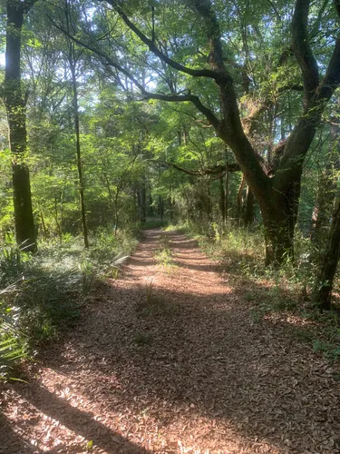 Best Easy Trails in Geneva | AllTrails