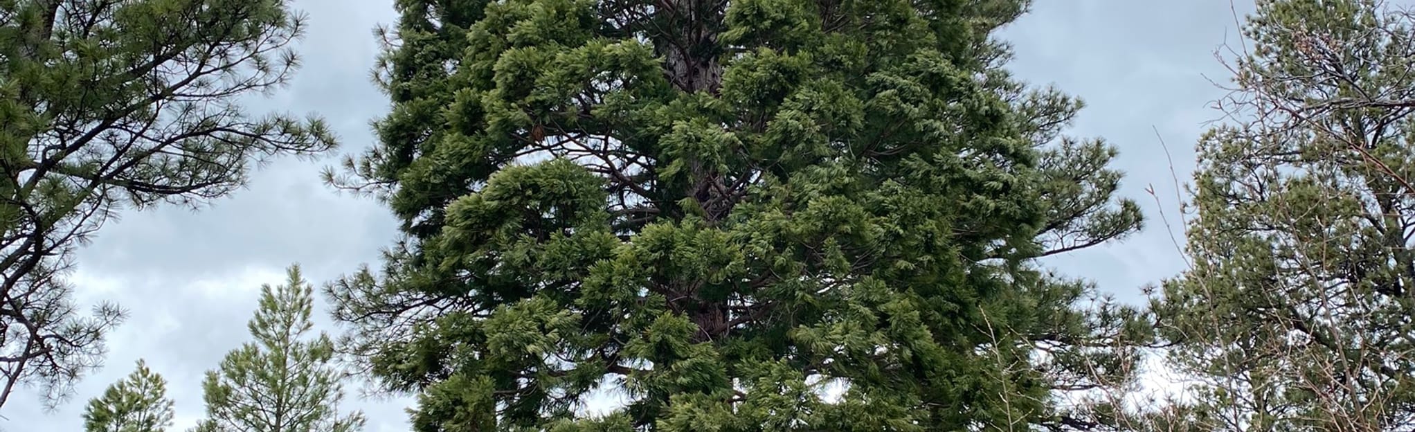 Peak 9380 Big Point: 8 Reviews, Map - Utah | AllTrails