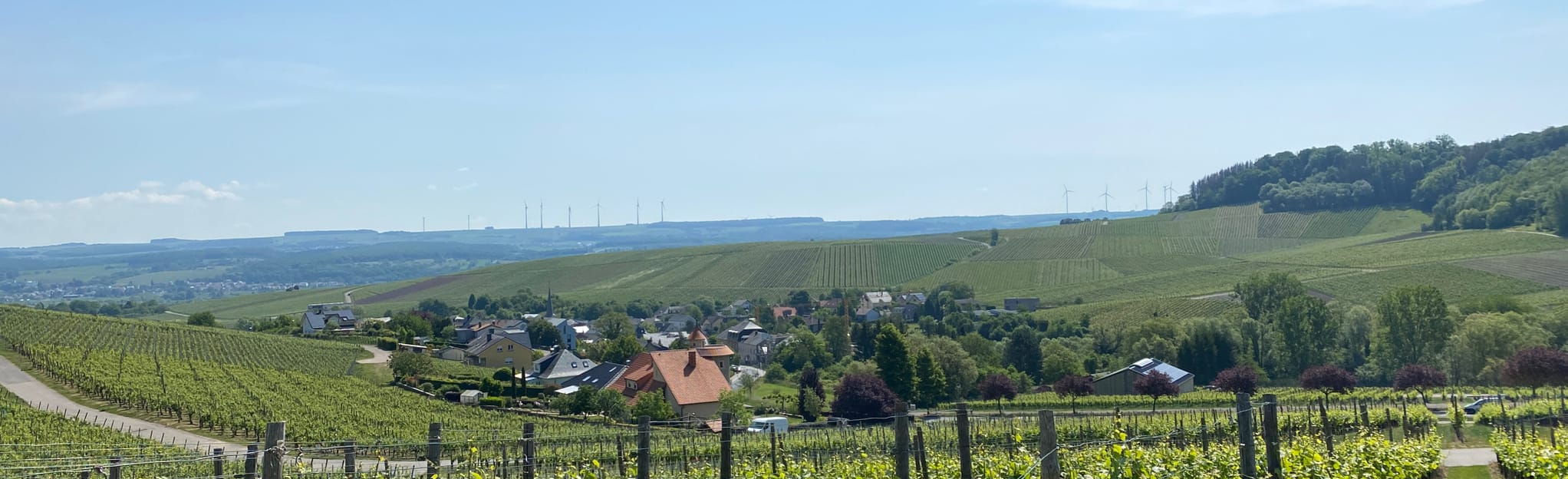 Cremant Runde Wellenstein: 3 Reviews, Map - Remich, Luxembourg | AllTrails