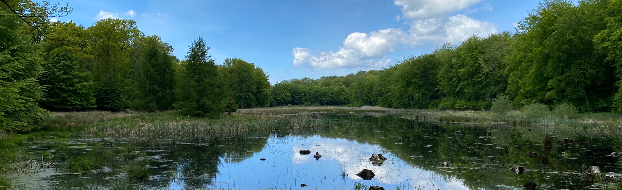 Gribskov and Stenholtvang Loop, Capital Region of Denmark, Denmark - 18 ...