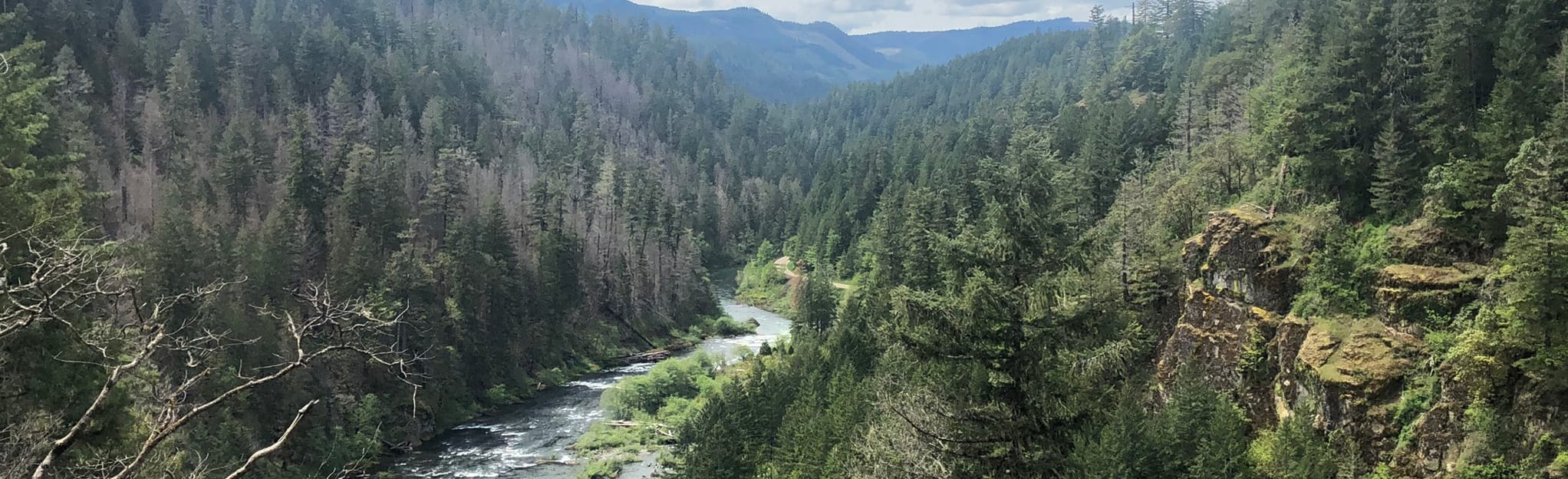 North Umpqua Trail: Swiftwater and Tioga Segment, Oregon - 36 Reviews ...