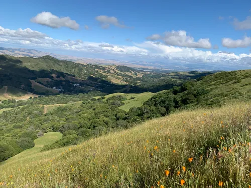 10 Best Trails and Hikes in San Ramon | AllTrails