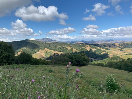 2023 Best 10 Trails and Hikes in San Ramon | AllTrails