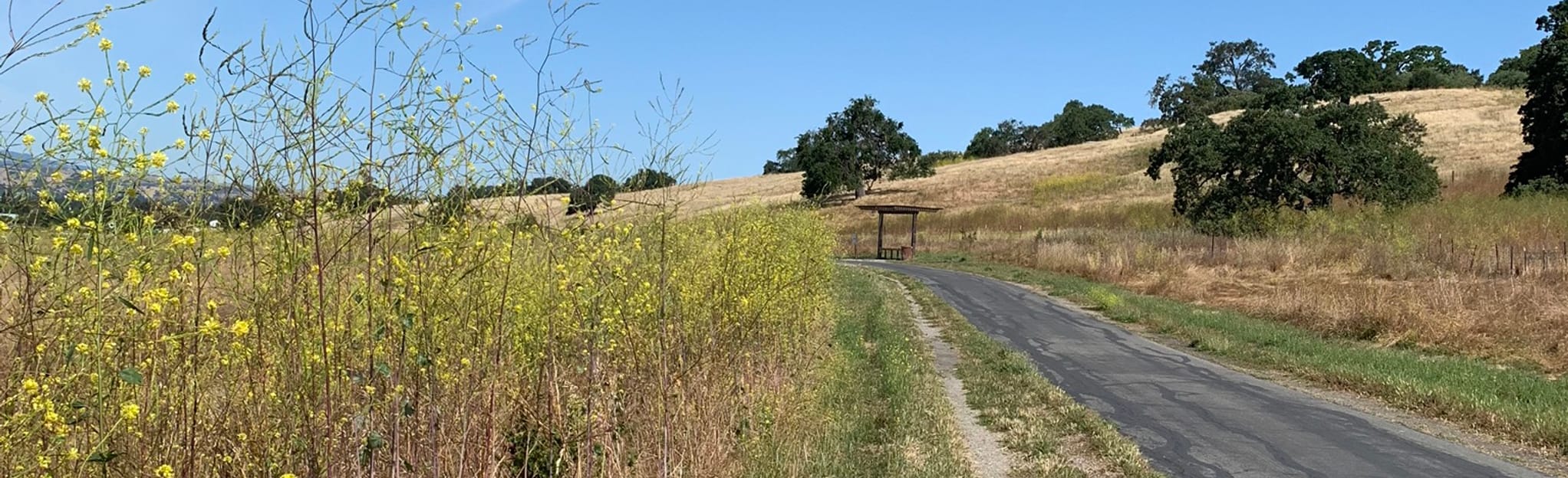 Martin Murphy Loop, California - 592 Reviews, Map | AllTrails