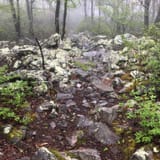 Slacks Trail, Virginia - 26 Reviews, Map | AllTrails