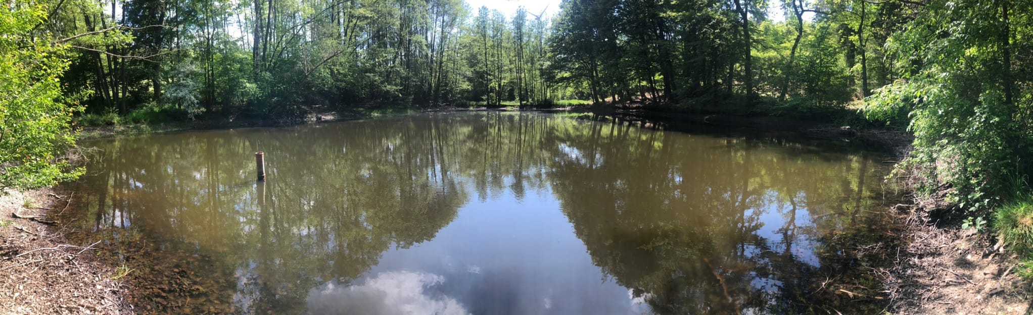 Hasselbach - Riedelbacher Heide - Cratzenbach | Map, Guide - Hesse ...