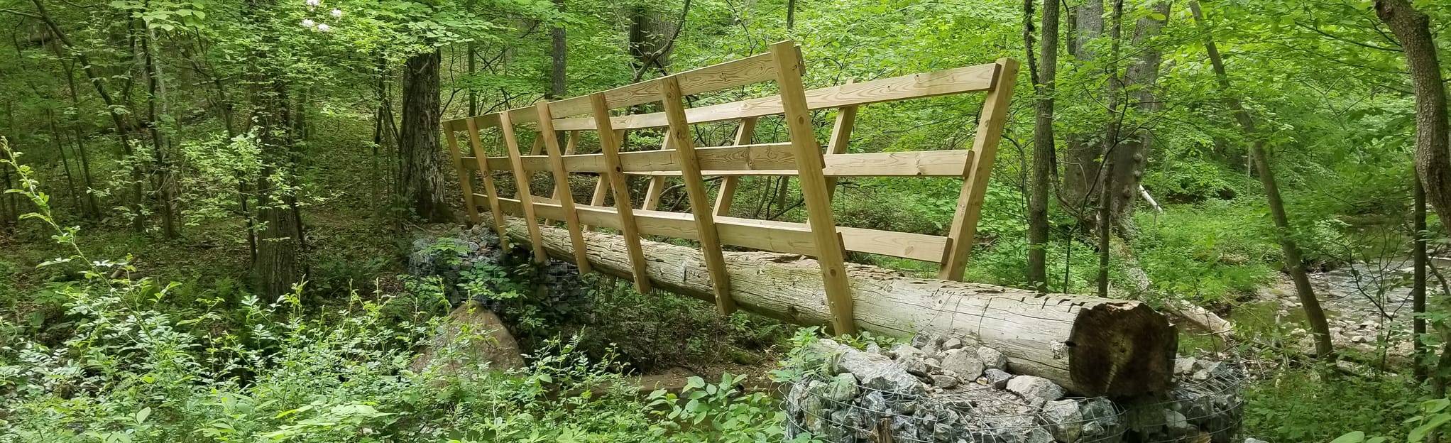 Legacy Loop, Virginia - 339 Reviews, Map | AllTrails