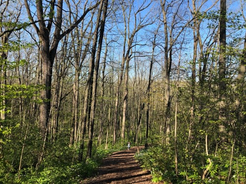 2023 Best 10 Trails and Hikes in Brantford | AllTrails