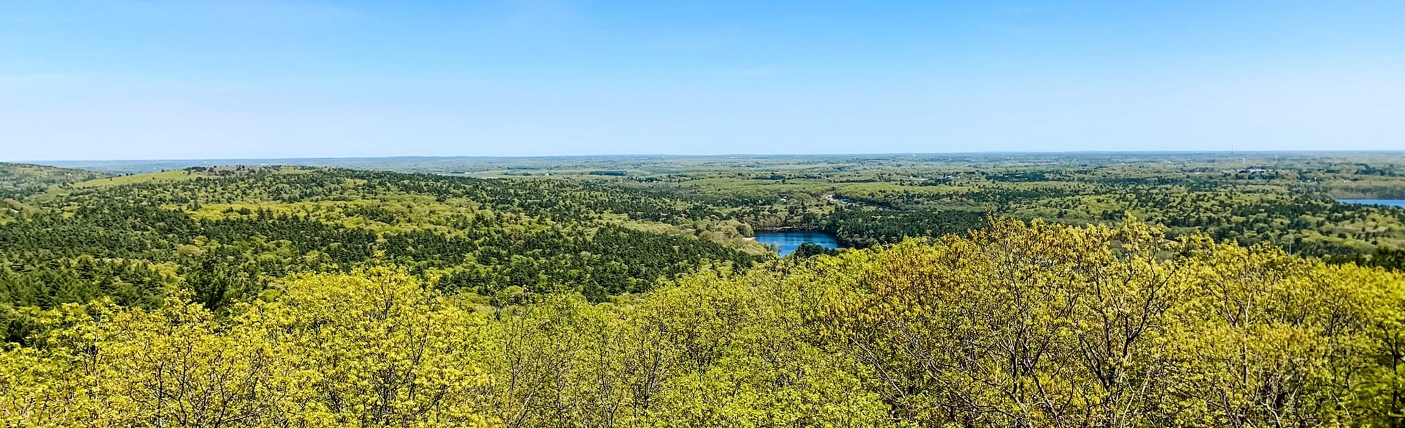 Coon Hollow and Wolcott Path Loop: 235 Reviews, Map - Massachusetts ...