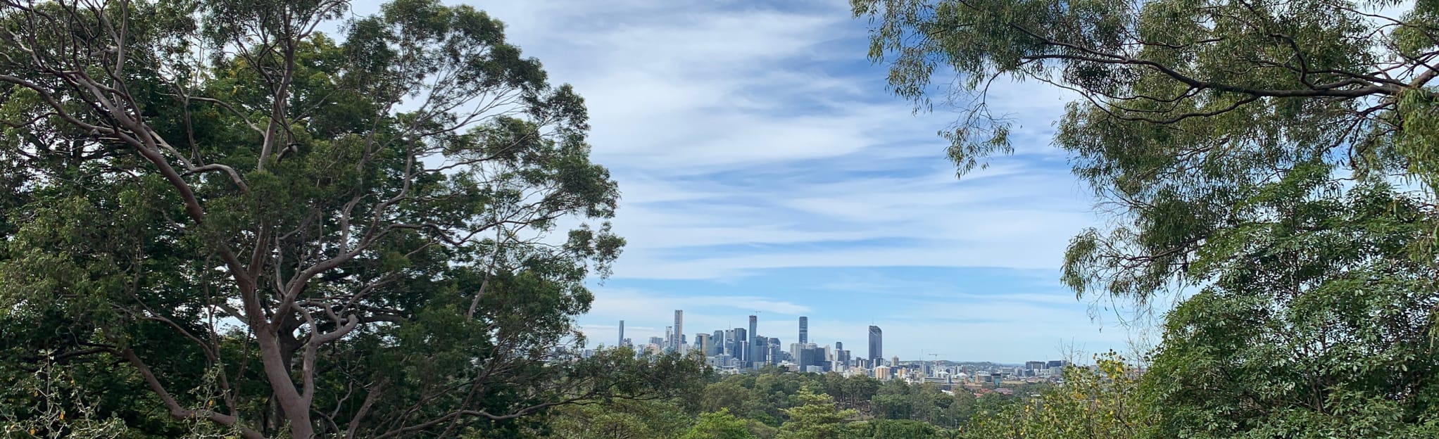 Botanic Gardens to Mt Coot-tha via Spotted Gum Trail: 270 Reviews, Map ...