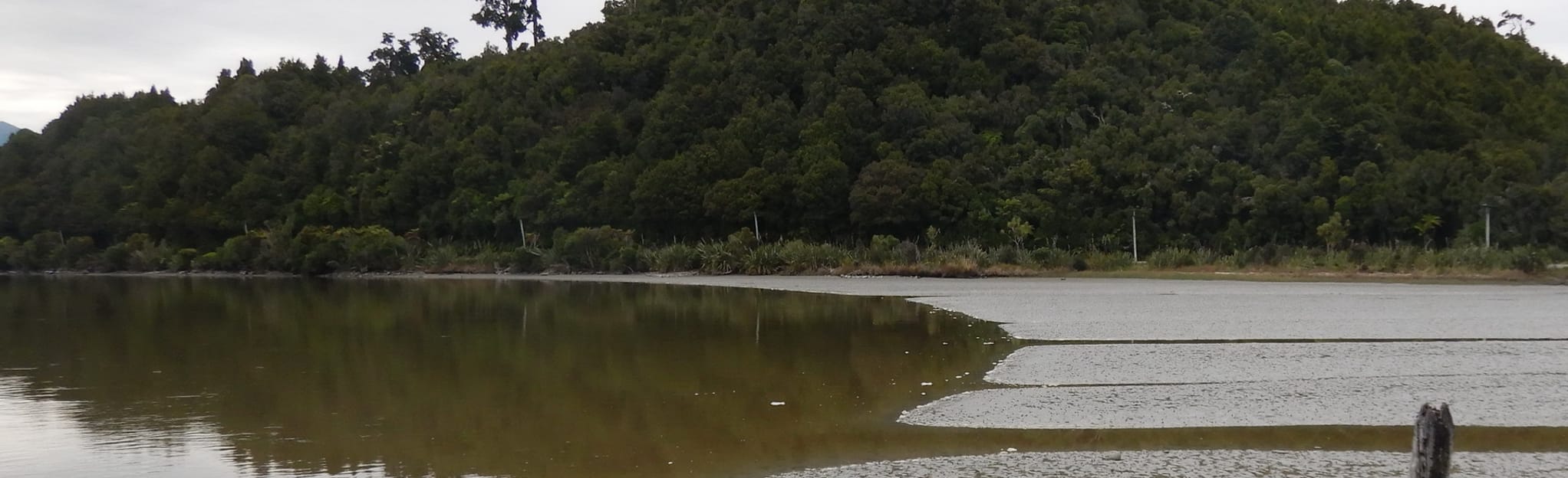 Okarito Lagoon Kayak, West Coast, New Zealand - Map, Guide | AllTrails