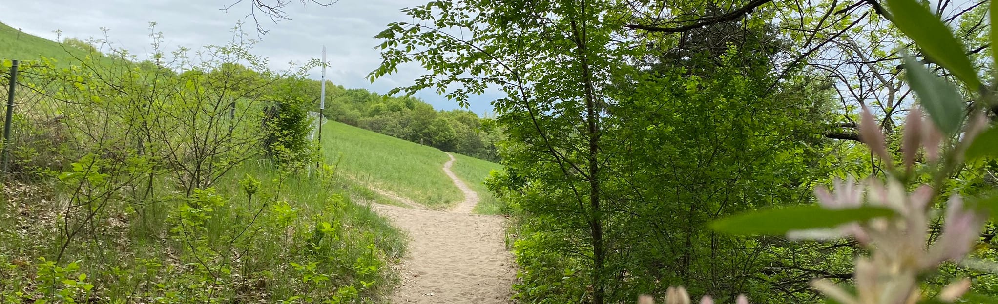 Fredrick-Miller Spring, Minnesota - 21 Reviews, Map | AllTrails