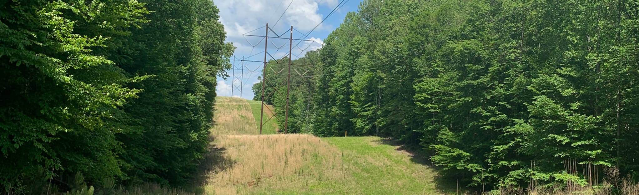 Wahrani Loop Trail: 525 Reviews, Map - Virginia | AllTrails