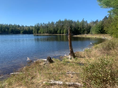 2023 Best 10 Camping Trails in Pharaoh Lake Wilderness | AllTrails