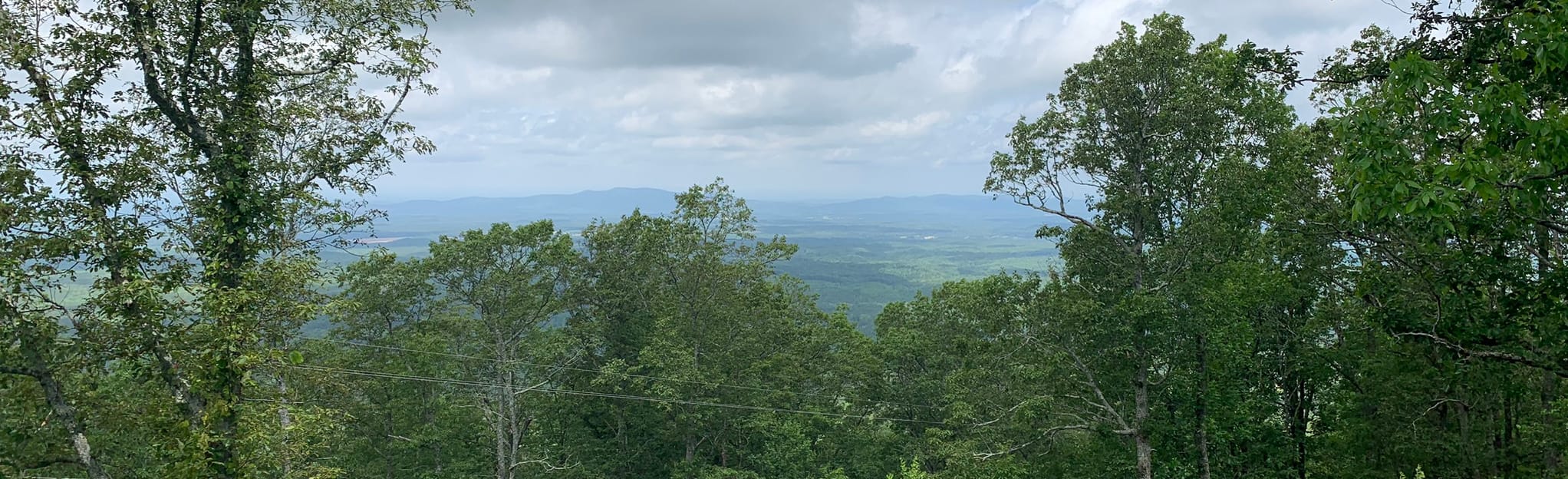 Horn Mountain via Pinhoti Trail, 260 Photos - Alabama | AllTrails