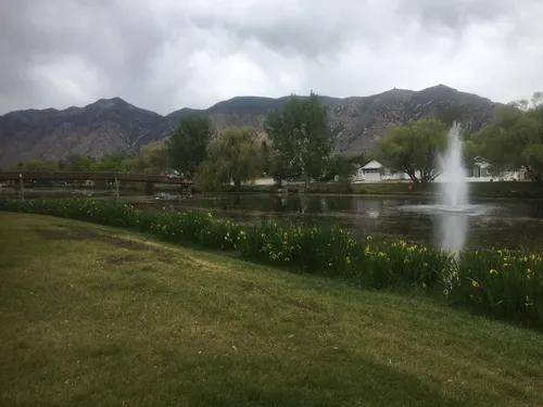 Best Hikes and Trails in Rees Pioneer Park | AllTrails