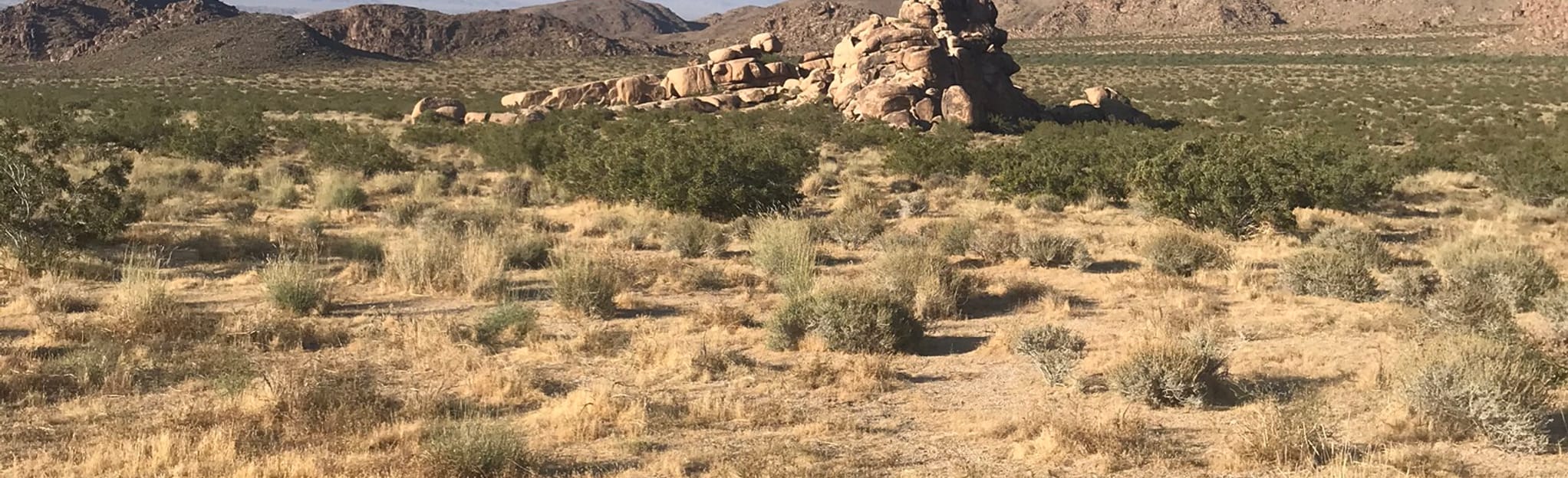 Morbid Mound: 5 foto's - Californië | AllTrails