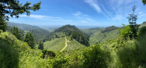 10 Best Hikes and Trails in Purisima Creek Redwoods Open Space Preserve ...