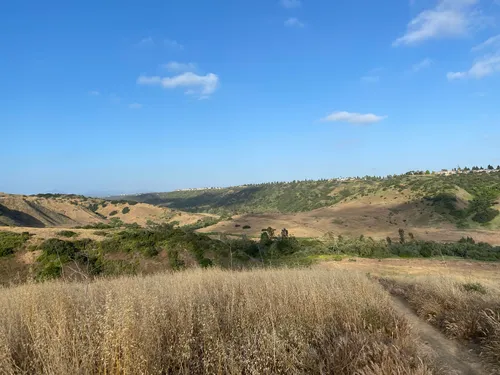 10 Best Walking Trails in Del Mar | AllTrails