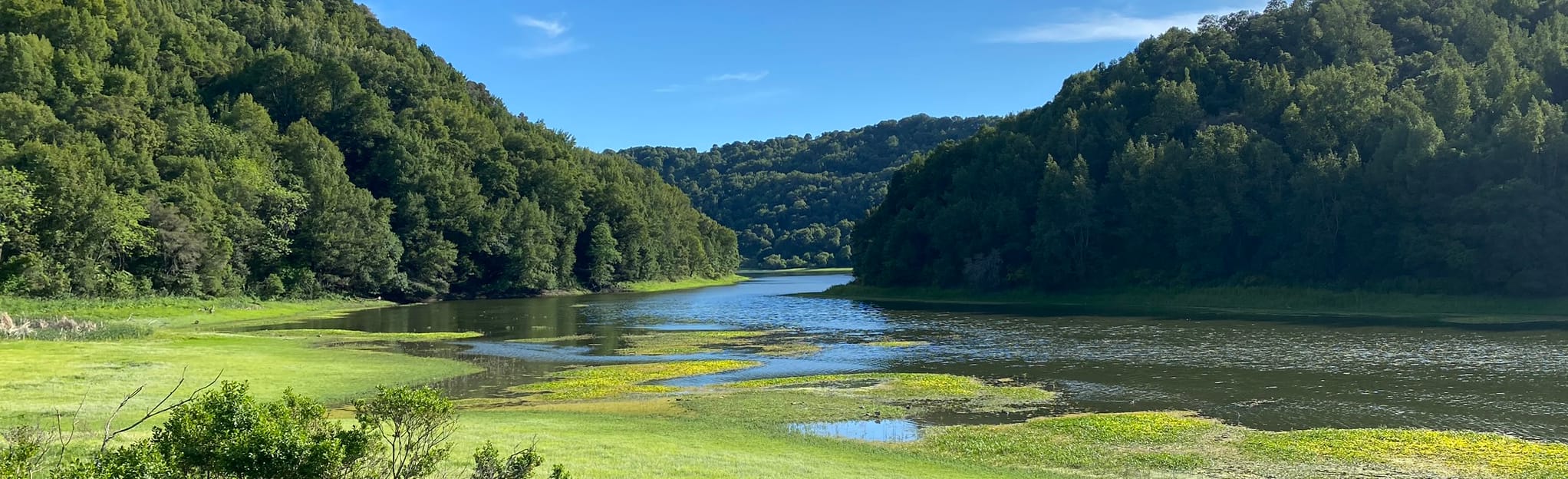 East Ridge, Redwood, Riche Loop, and King's Canyon Loop Trail ...