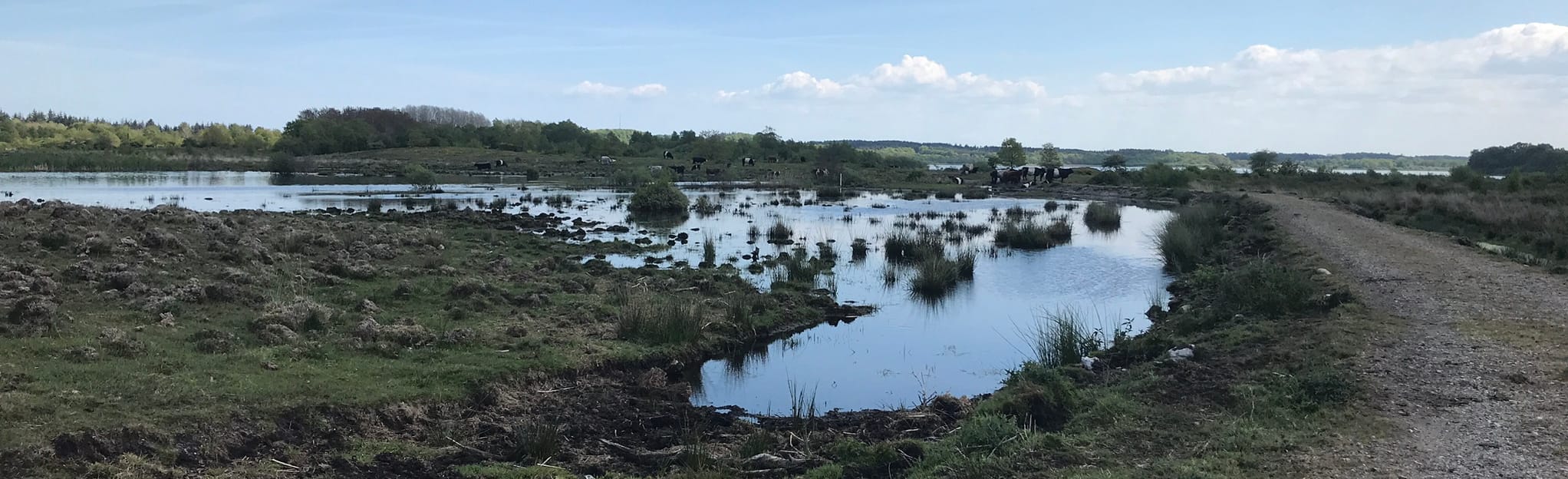 Hostrup Sø - Årtoft Plantage, Region of Southern Denmark, Denmark - 3 ...