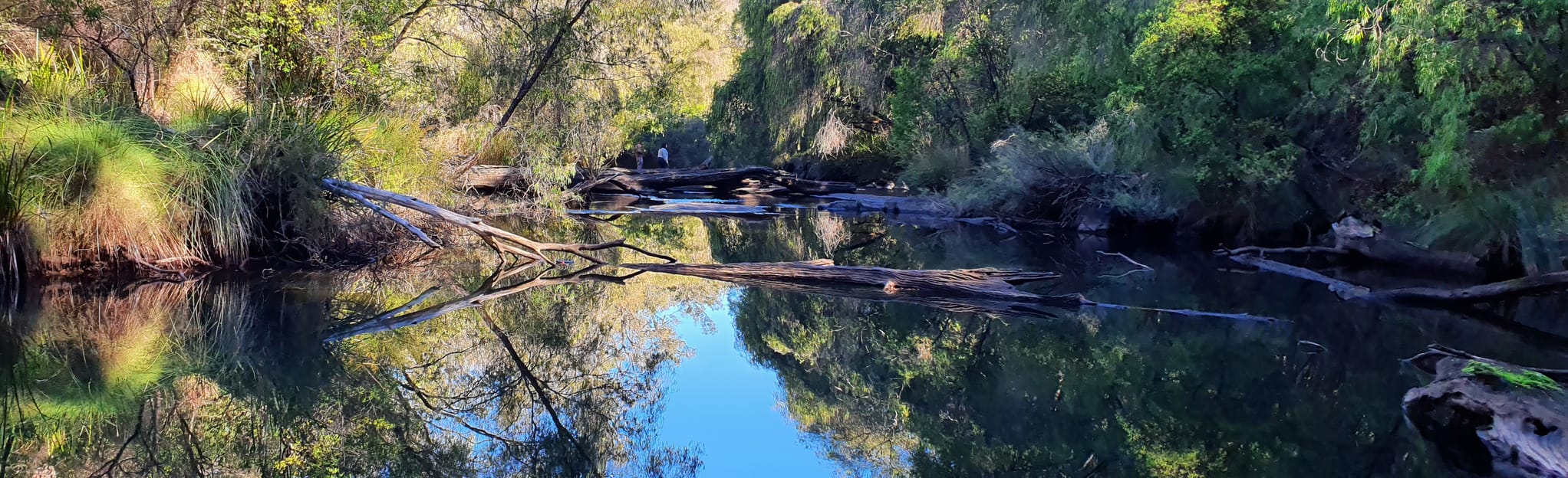 Collie River Forest Walk via Honeymoon Pool, Western Australia ...
