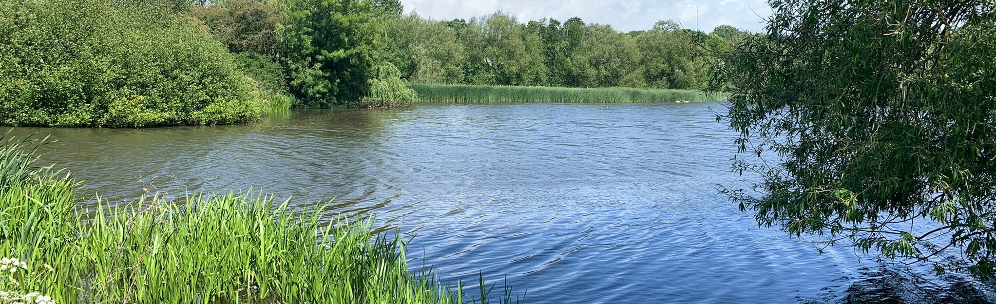 Backwell Lake, Somerset, England - 22 Reviews, Map | AllTrails