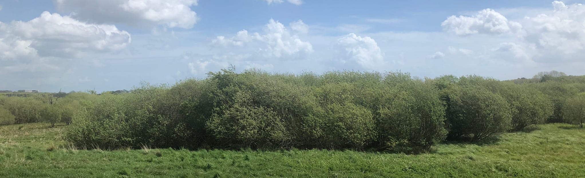 Geding-Kasted Mose - Central Denmark, Denmark | AllTrails