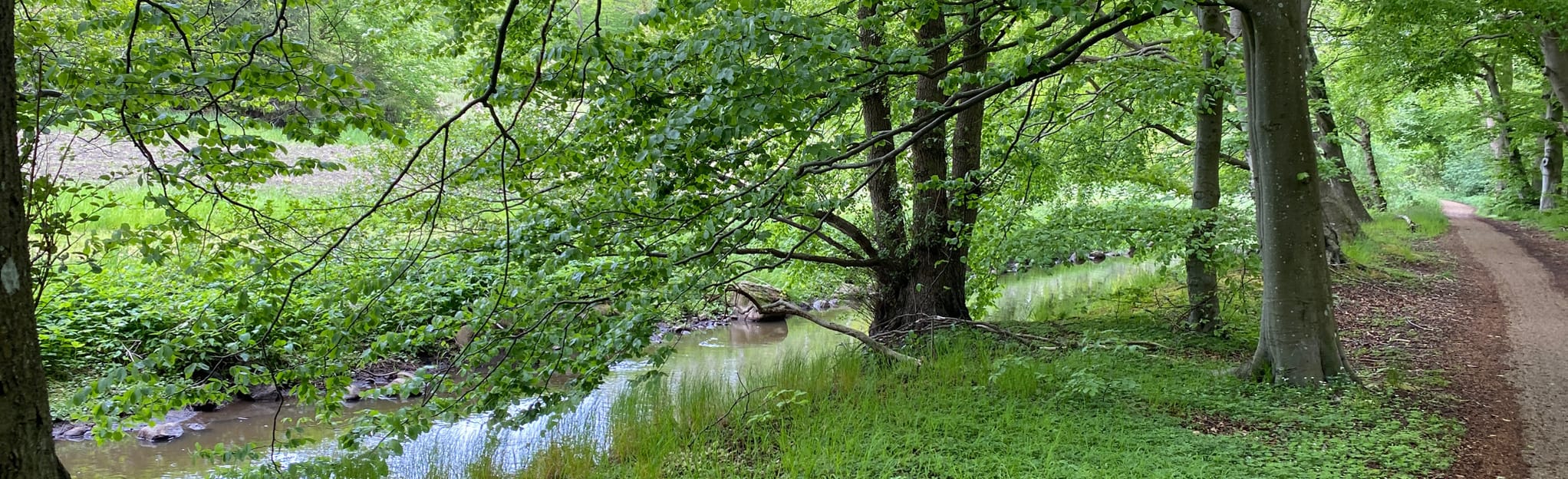 Helsinge - Hillerød, Capital Region of Denmark, Denmark - 14 Reviews ...