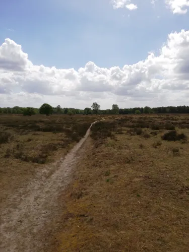 2023 Best 10 Trail Running Trails in Bussum | AllTrails