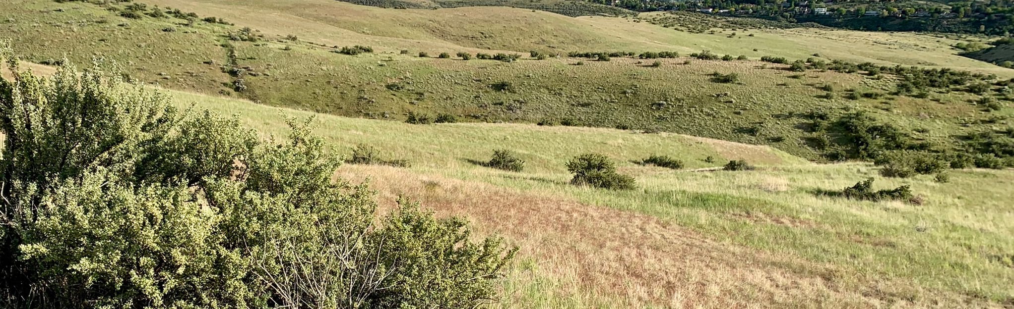 Shane’s Loop, Central Ridge, Mountain Cove, and Three Bears Loop: 420 ...