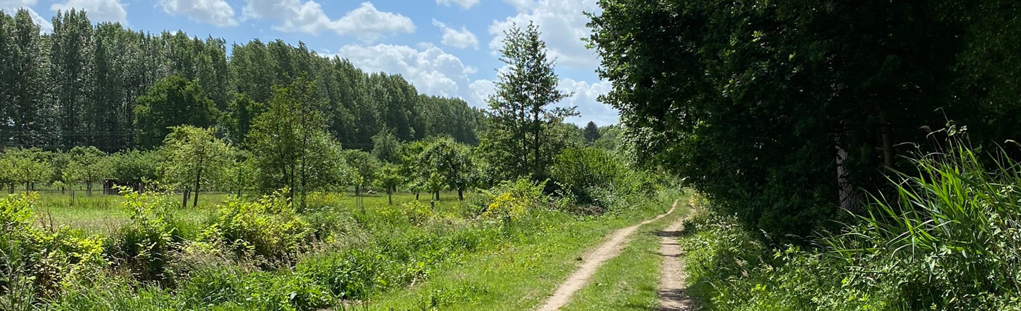 Groene Wissel: Kromme Rijnpad en Zeister Landgoederen 49, 144 Fotos ...