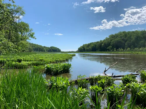 10 Best Hikes and Trails in American Chestnut Land Trust | AllTrails