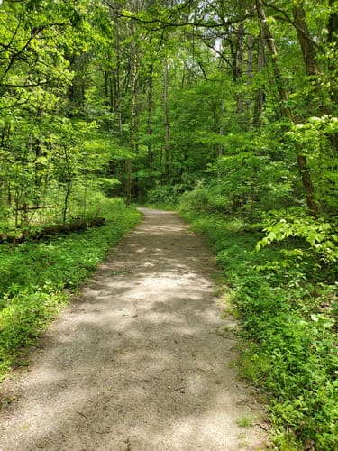 Best Hikes and Trails in Hogback Ridge Park | AllTrails