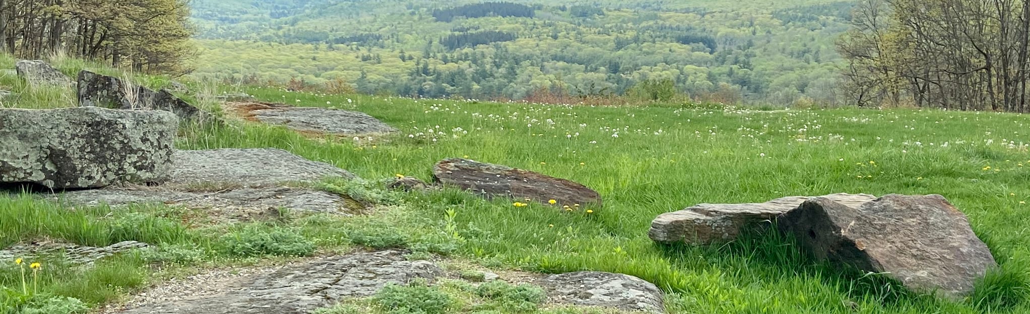 AllTrails | Mohawk Mountain and the Pinnacle via Mohawk Pond: 74 ...