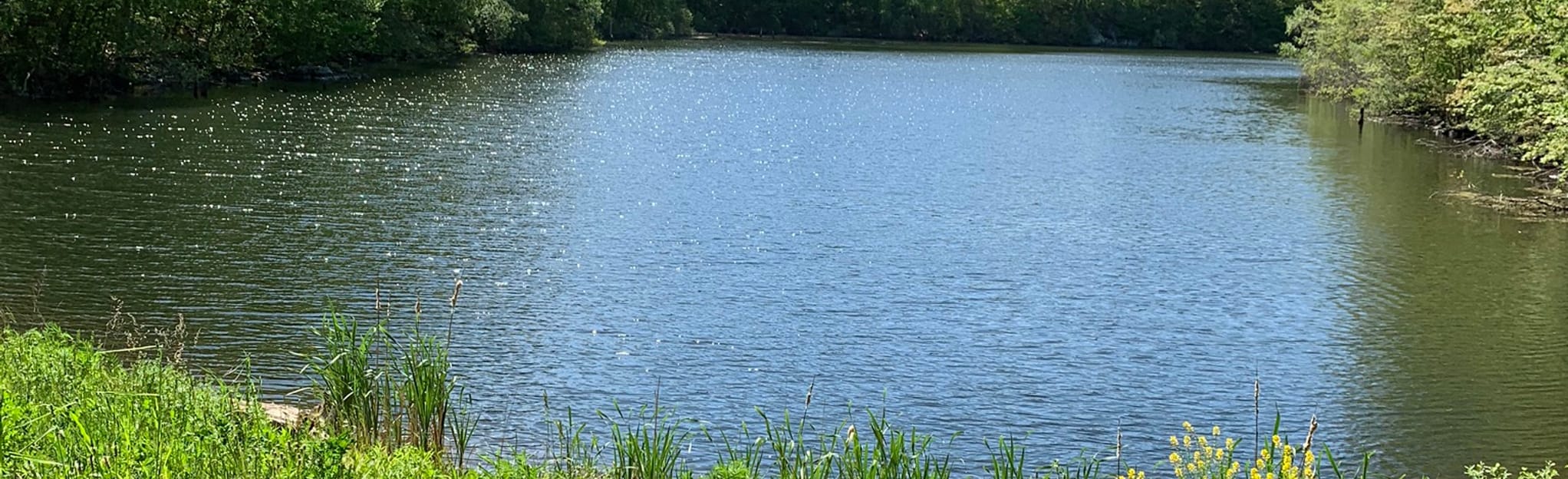 Lime Rock Preserve Trail, Rhode Island - 709 Reviews, Map | AllTrails