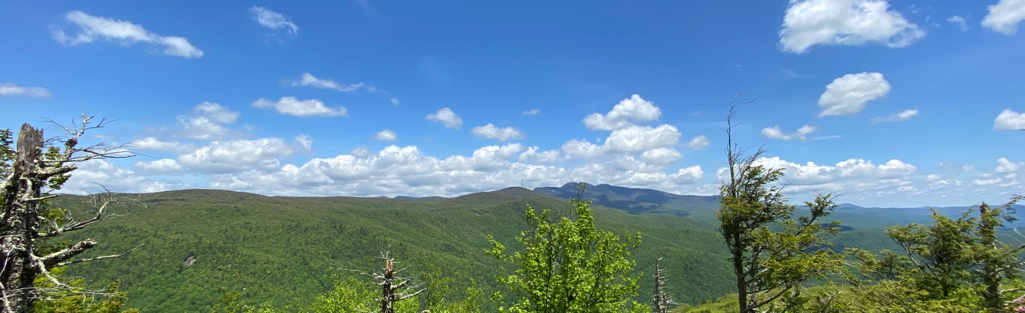 Big Lost Cove Cliffs Trail, North Carolina - 537 Reviews, Map | AllTrails