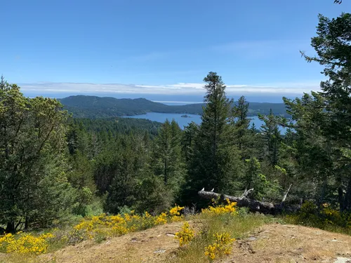 2023 Best 10 Trails and Hikes in Sooke | AllTrails