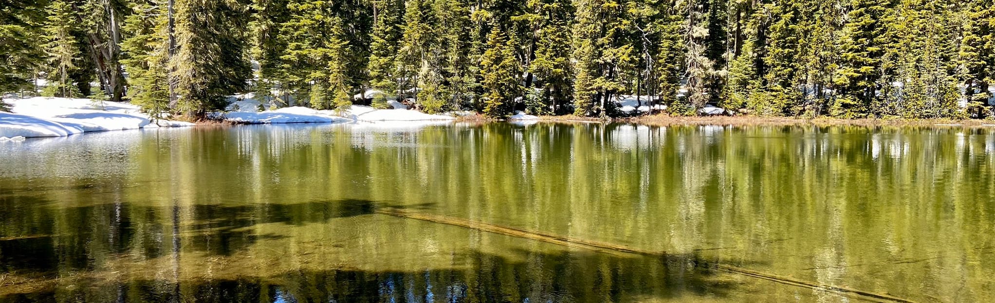 Midnight Lake, Hidden Lake, Yoran Lake via PCT, Oregon - 34 Reviews ...