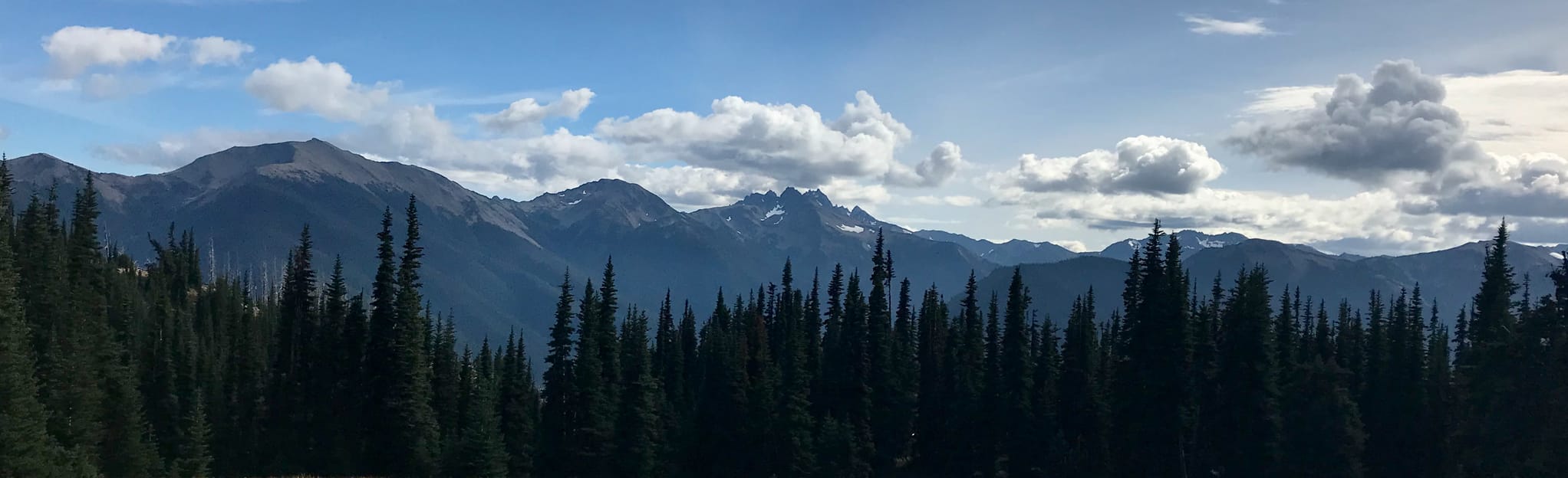Cameron Pass Trail - Washington | AllTrails