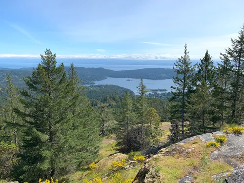 2023 Best 10 Trails and Hikes in Sooke | AllTrails