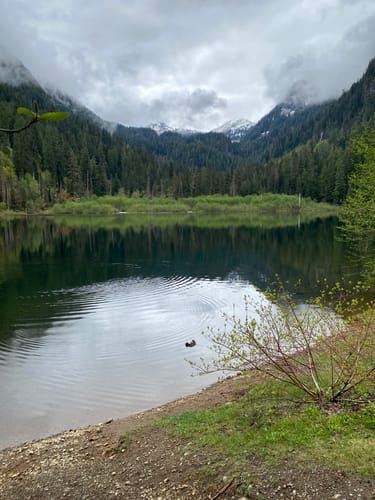 Best 10 Hikes and Trails in Alpine Lakes Wilderness | AllTrails