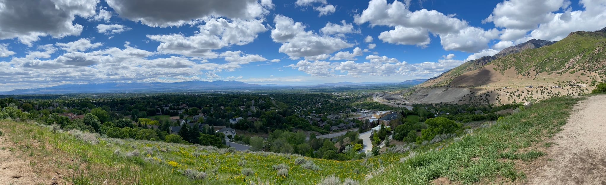 Ferguson Canyon View Point: 1514 Reviews, Map - Utah | AllTrails