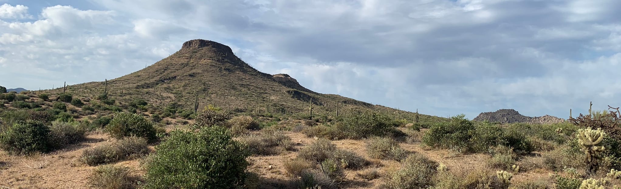 Brown's Ranch Long Loop: 138 Reviews, Map - Arizona | AllTrails