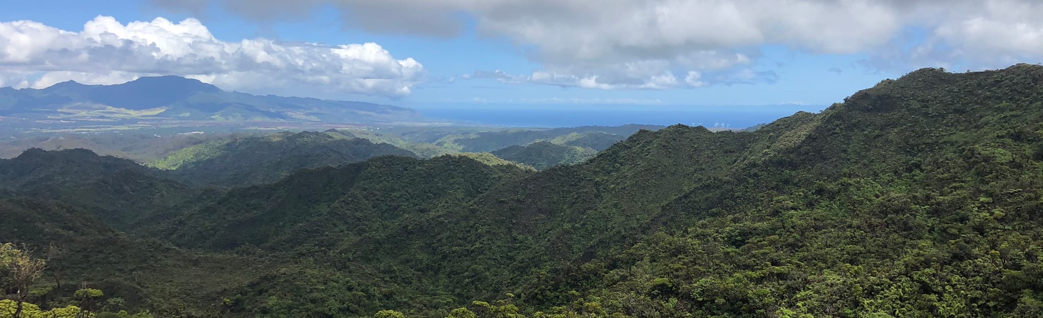 Poamoho Trail: 195 foto's - Oahu, Hawaii | Wandelen - AllTrails